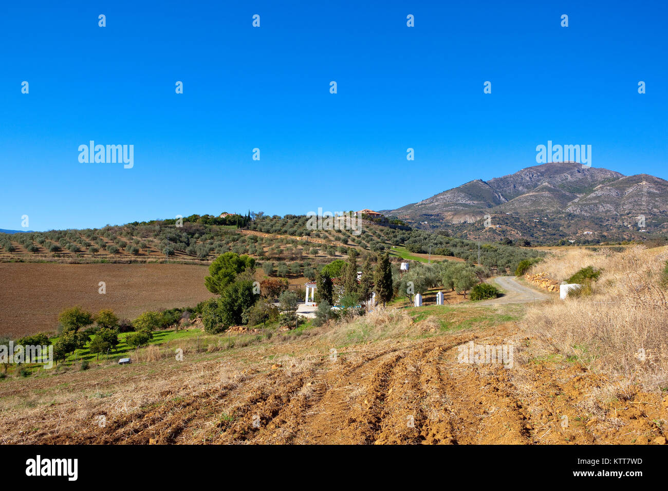 an agricultural spanish landscape in andalusia with farm villas and ...