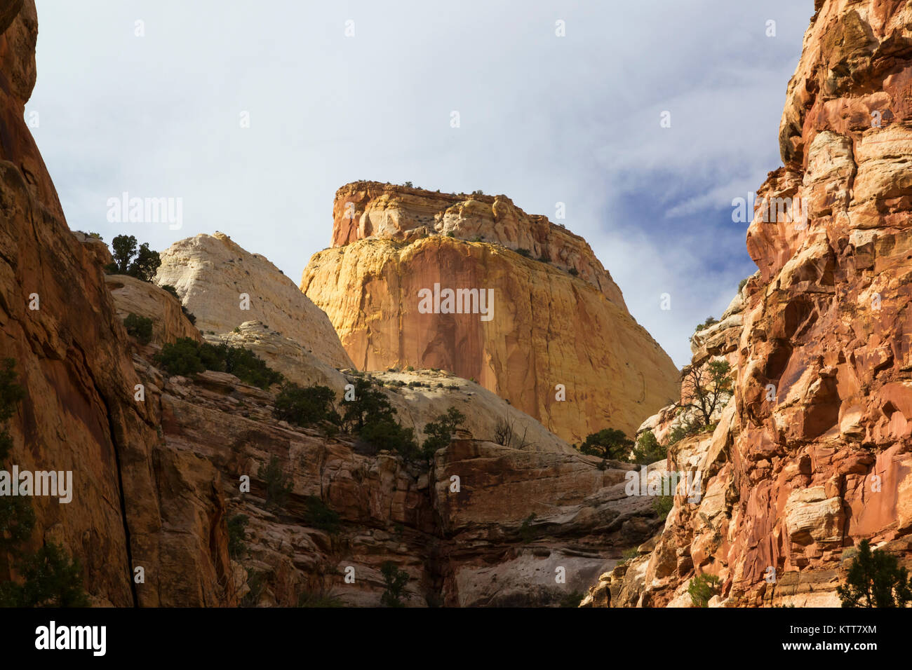 Golden Throne rock formation in Capitol Reef National Park, Utah Stock ...