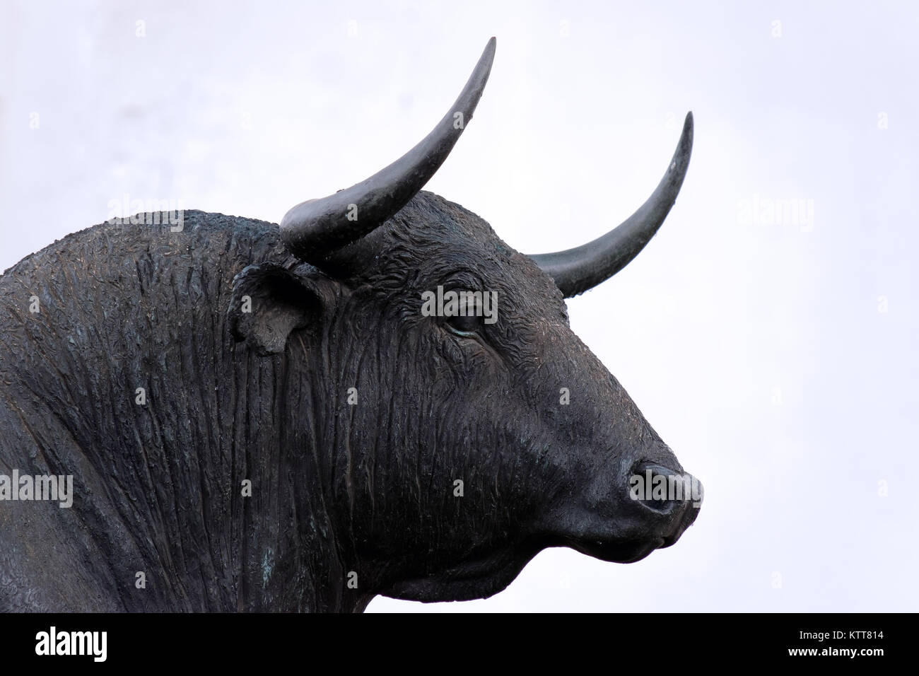 Bull monument hi-res stock photography and images - Alamy