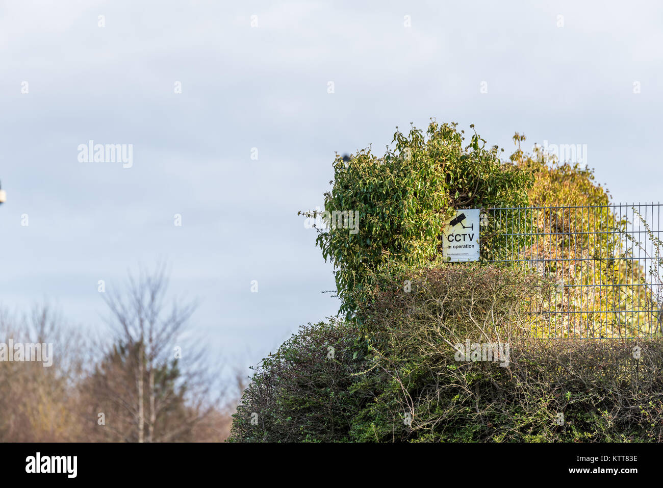 Generic CCTV in Operation Warning Sign on bushes fence Stock Photo - Alamy