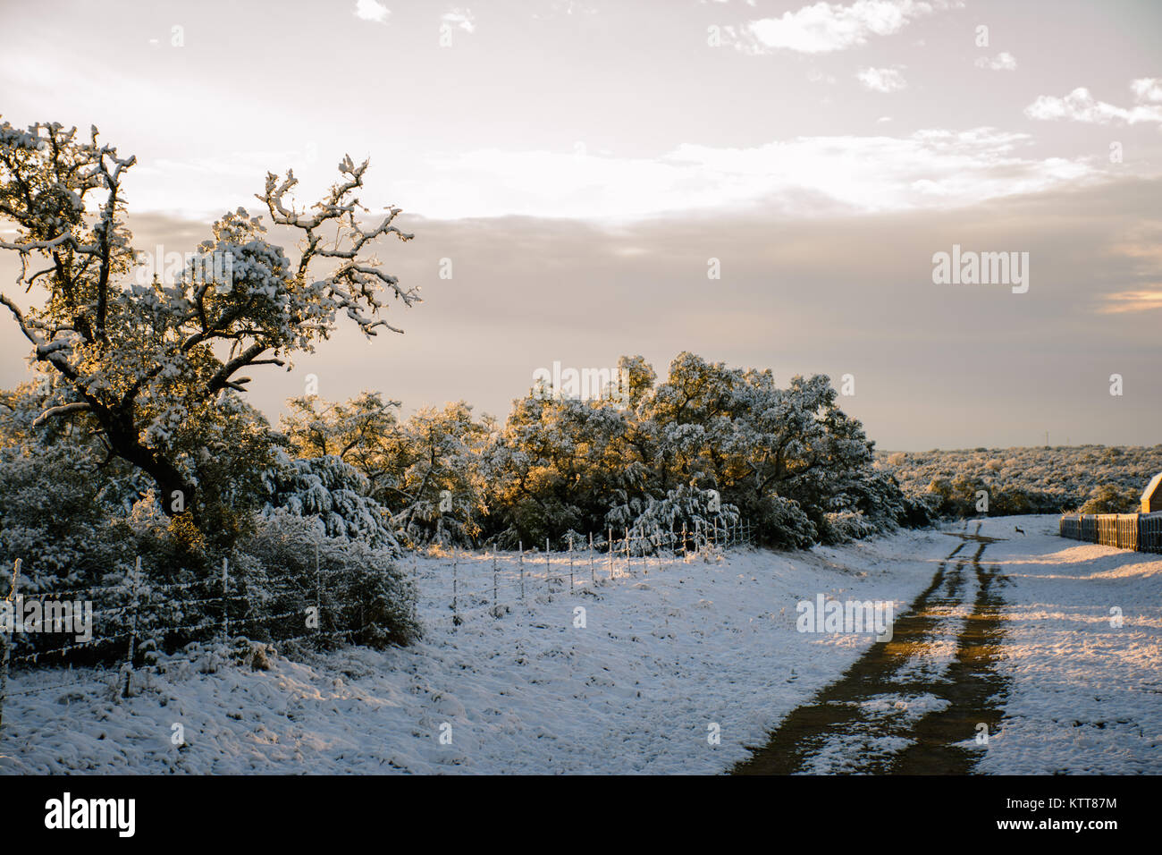 Frost and snow on country road hi-res stock photography and images - Alamy