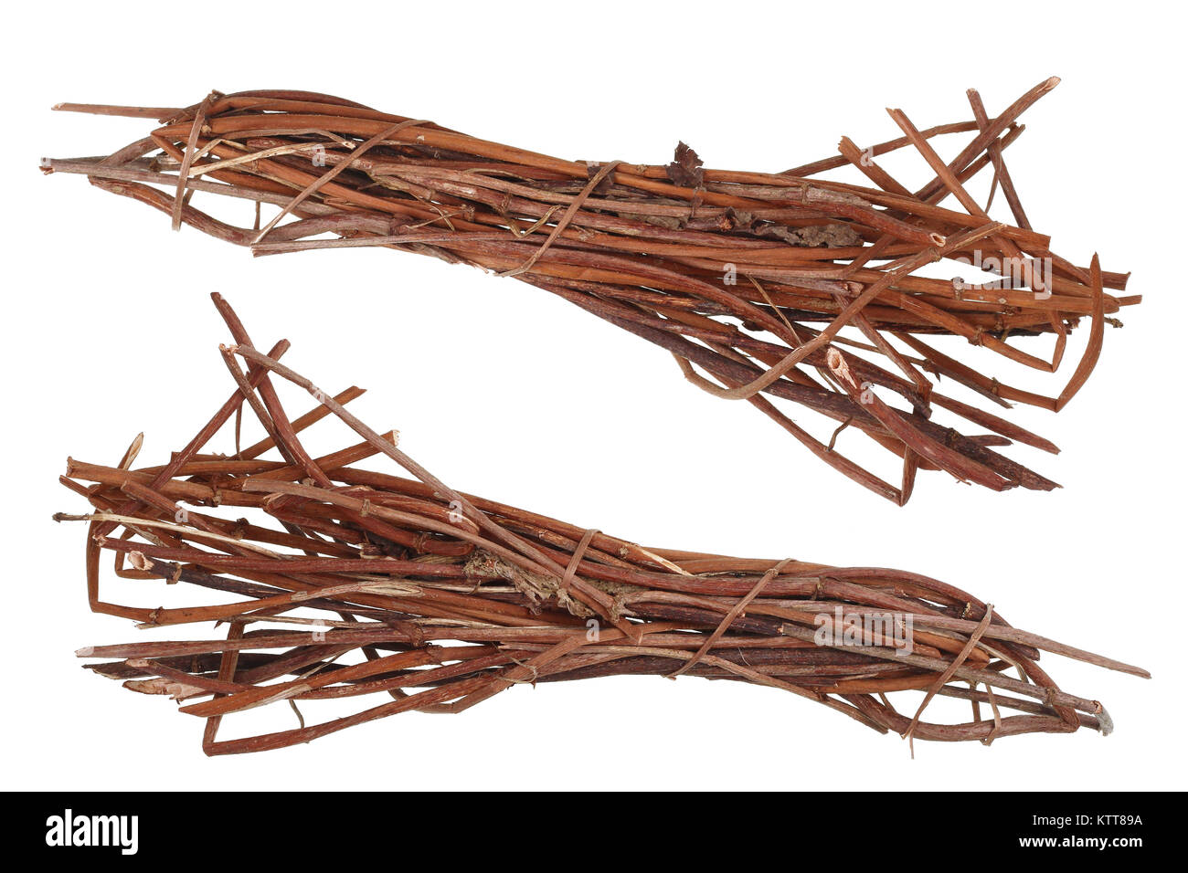 Crooked twisted tree on Cut Out Stock Images & Pictures - Alamy