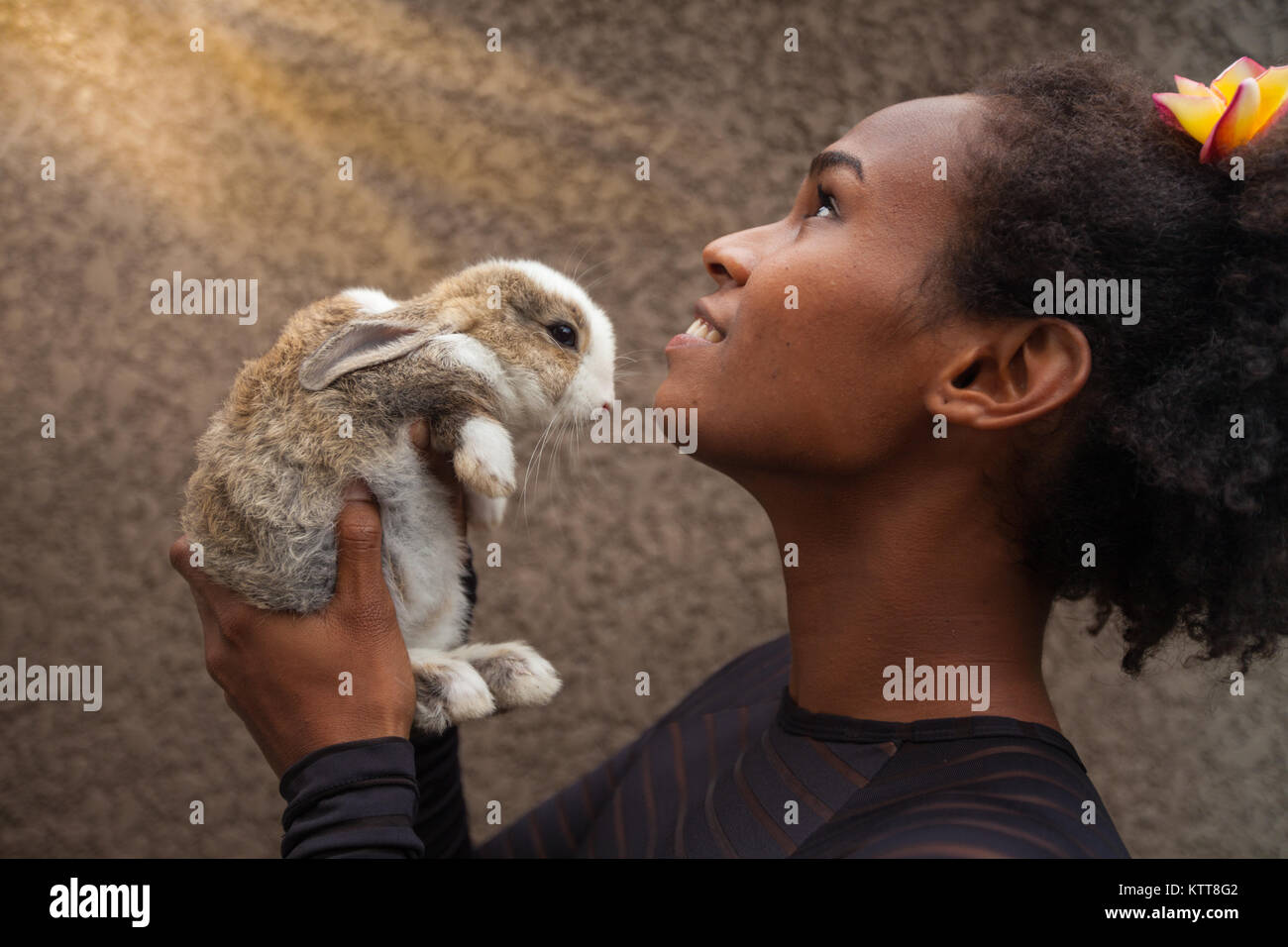 African rabbit hi-res stock photography and images - Alamy