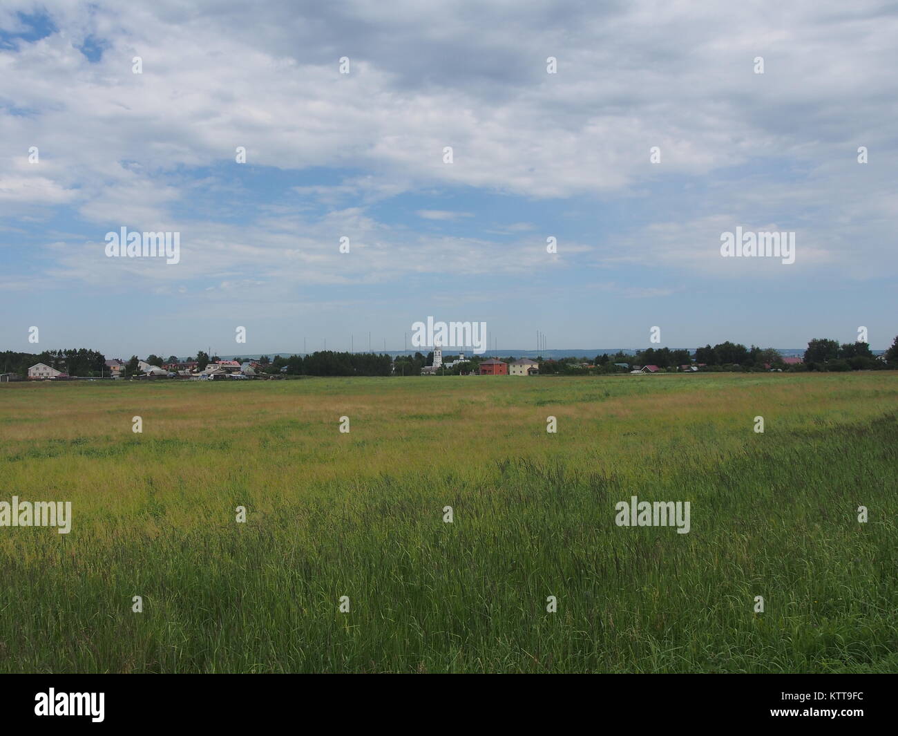Rural summer landscape of Central Russia. Wide field with patches of ...