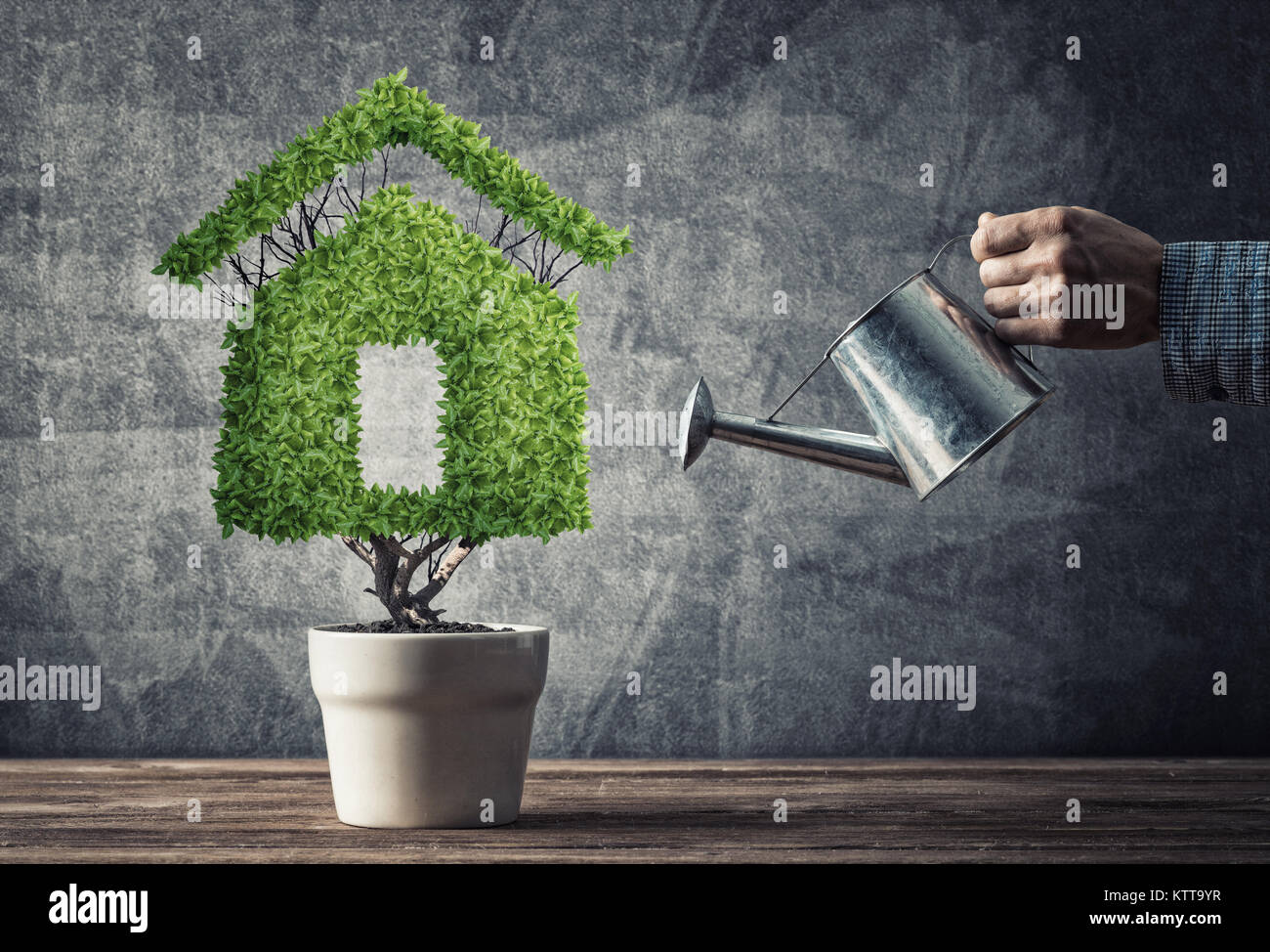 Concept of ecology recycling and eco construction with plant in pot ...