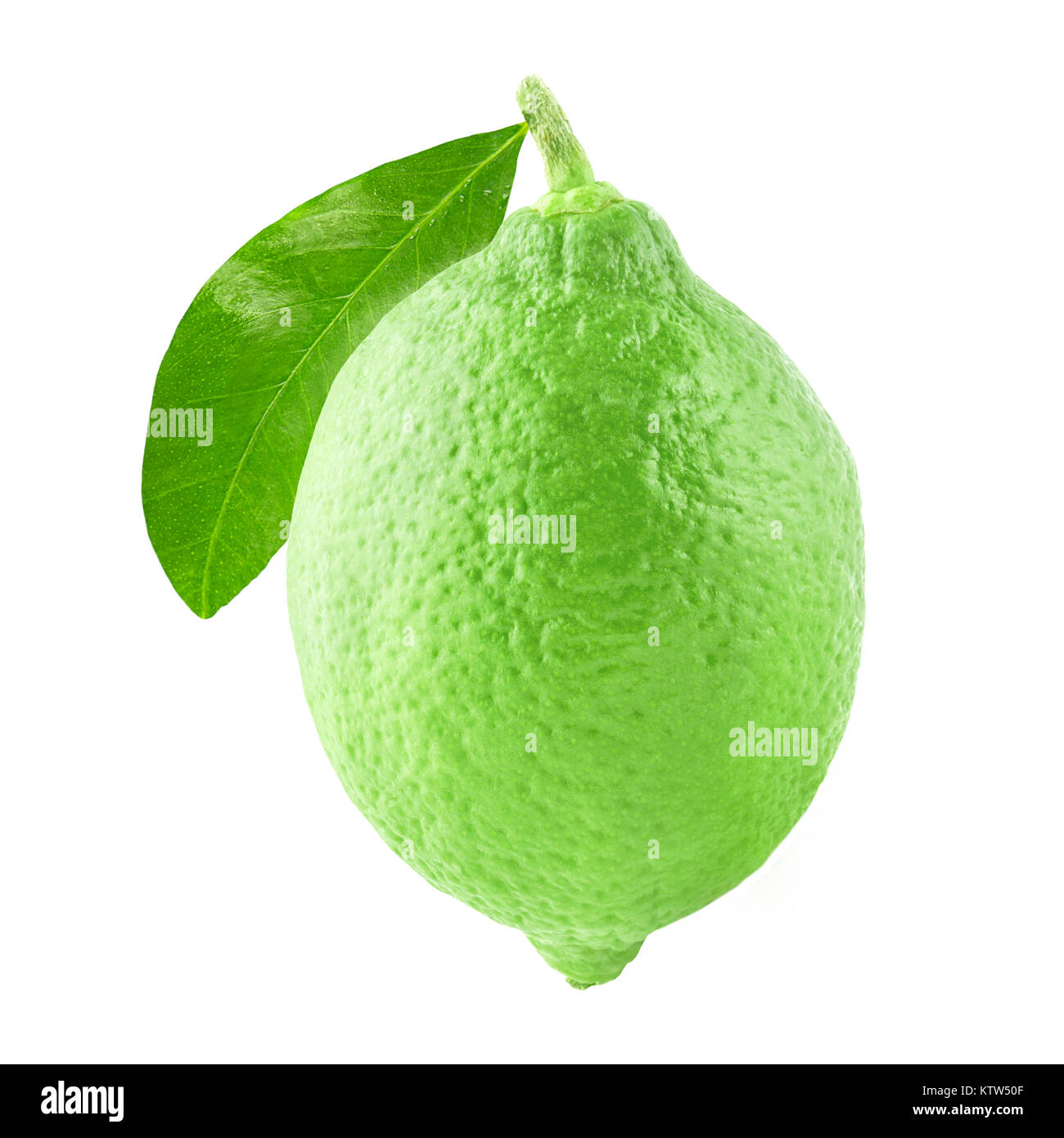 Isolated limes. One whole lime with leaf isolated on white background with clipping path as ...