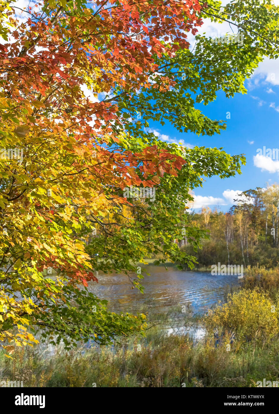 Wisconsin nature autumn hi-res stock photography and images - Alamy