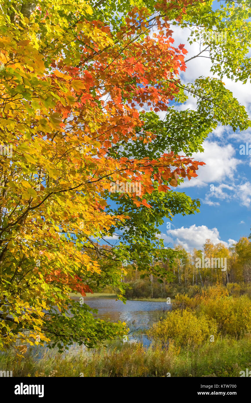 Wisconsin nature autumn hi-res stock photography and images - Alamy