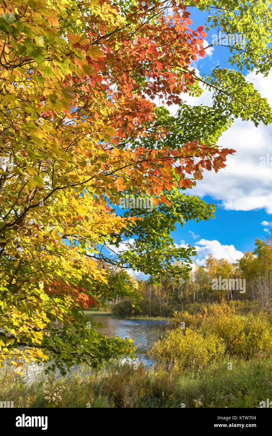 Wisconsin nature autumn hi-res stock photography and images - Alamy