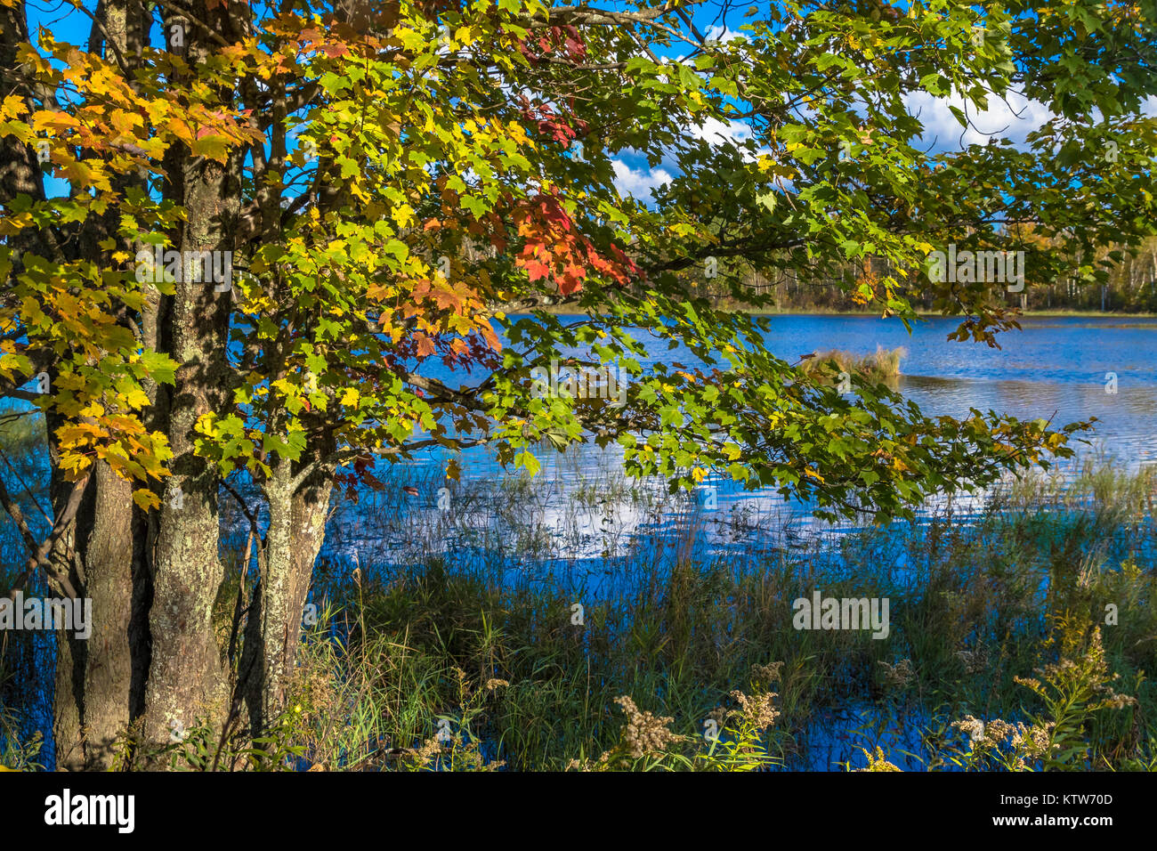 Autumn in northern Wisconsin Stock Photo - Alamy