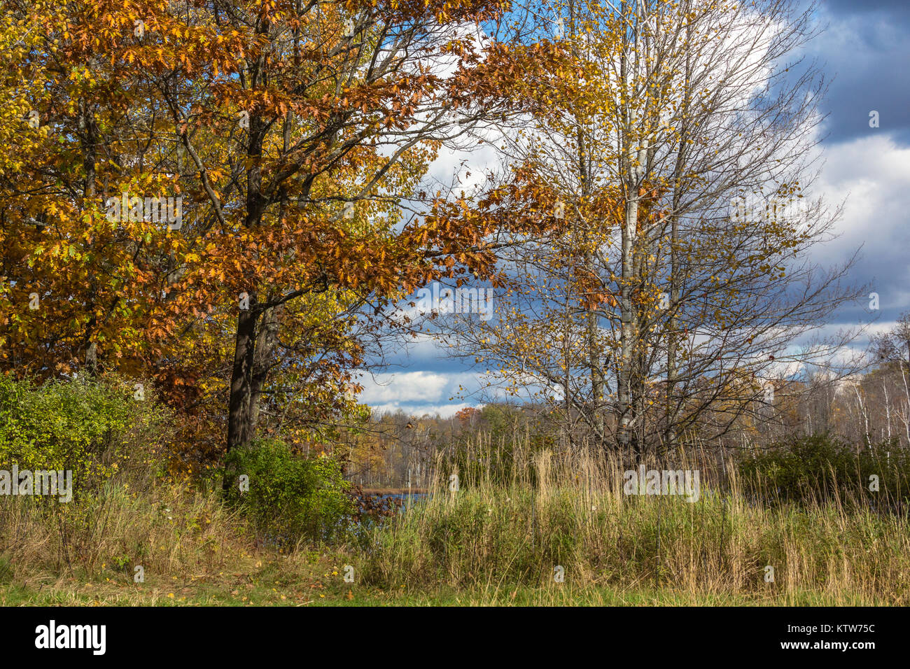Wisconsin northwoods fall hi-res stock photography and images - Alamy
