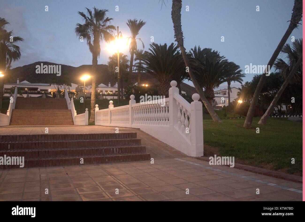 Palm tree on side road hi-res stock photography and images - Alamy