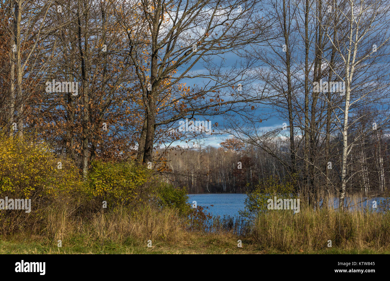 A trail leading to a wilderness lake in northern Wisconsin Stock Photo ...