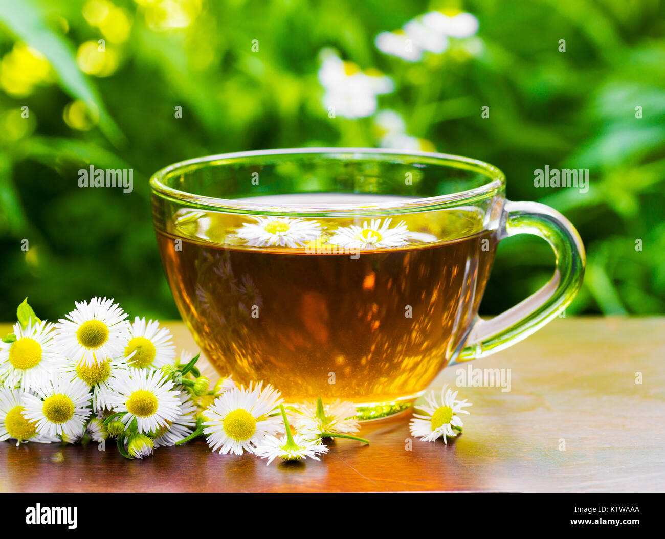 glass cup of tea with camomile flowers and camomile on the natural ...