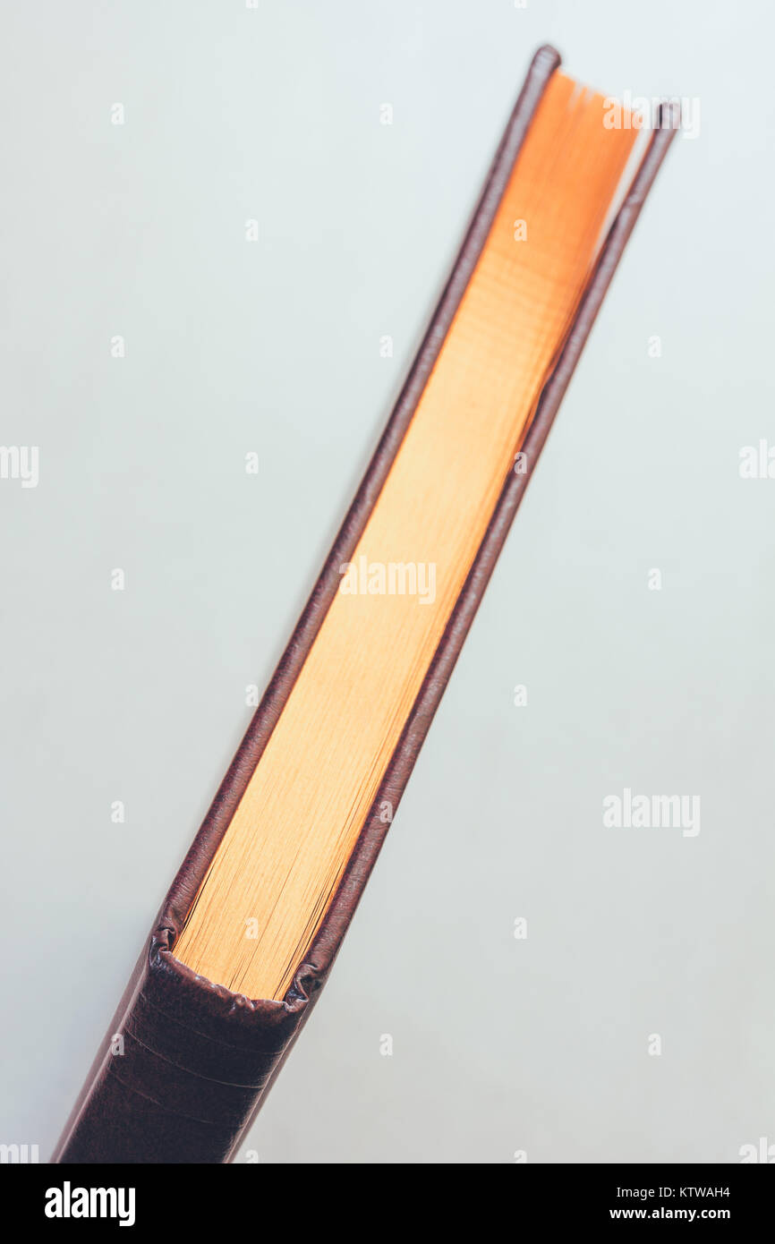 a book with a gilded edge on a light gray background, top view ...