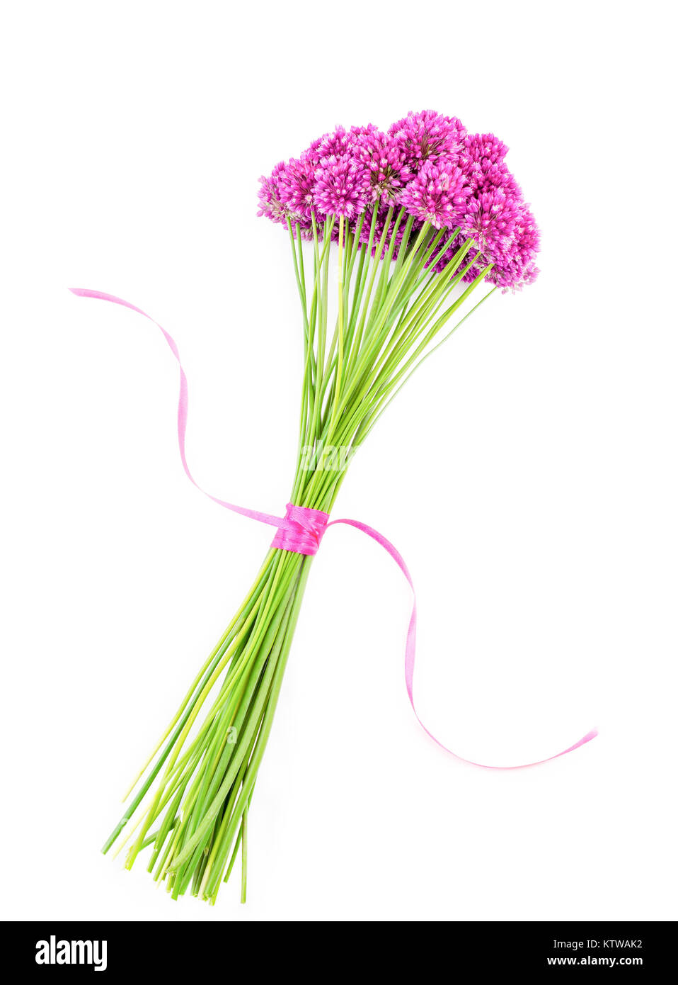 bouquet of beautiful purple flowers allium tied with a purple ribbon on ...