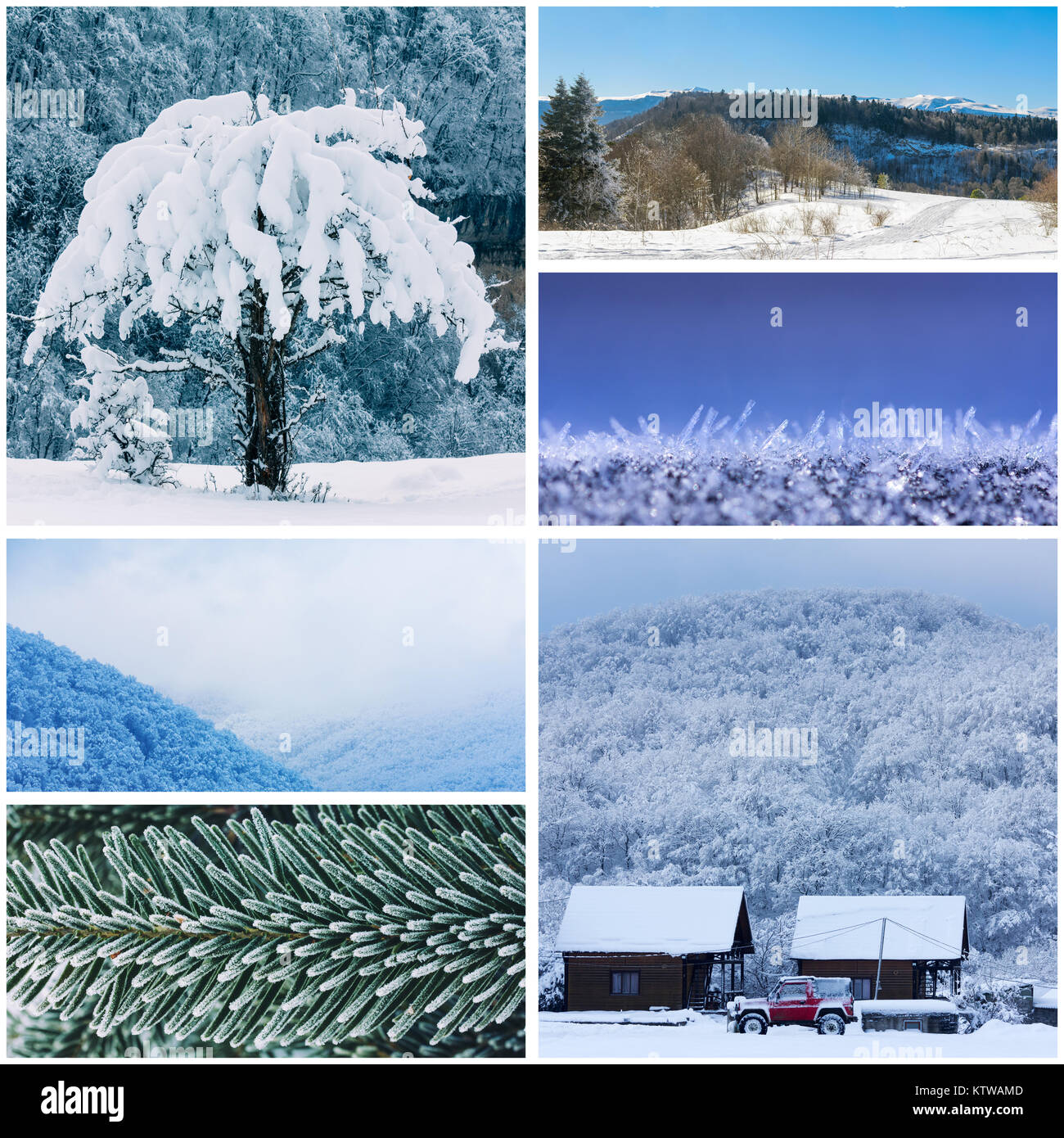 winter collage with snow-covered forests, hills, trees and macrophoto ...