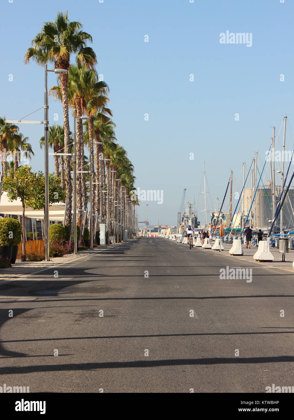 Promenade at Harbor of Malaga with Palms Stock Photo - Alamy