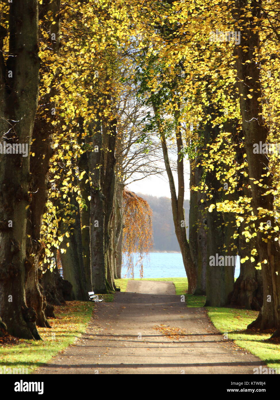 Wide Foot Path Boulevard in Autumn Colors Stock Photo - Alamy