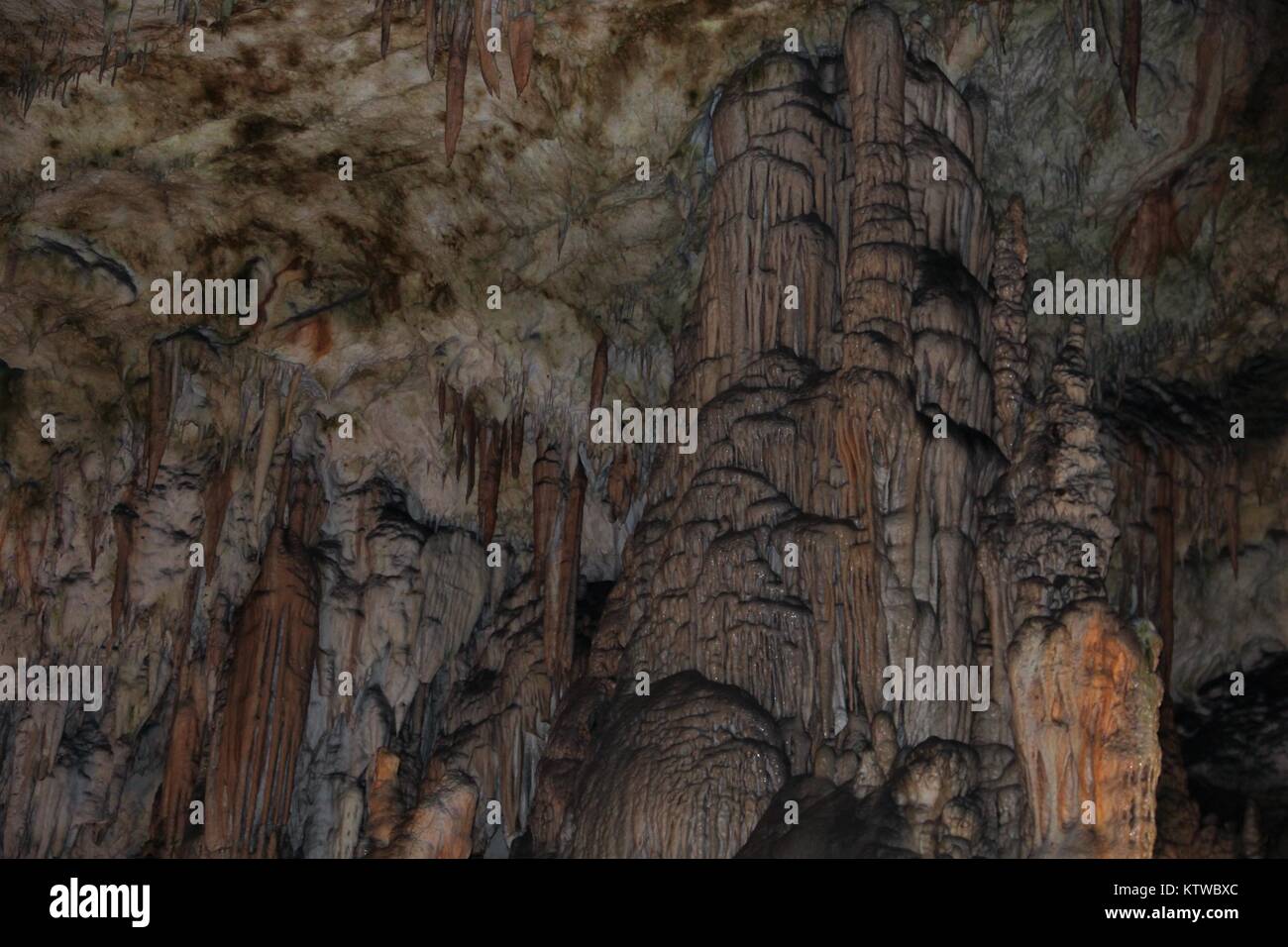 Postumia hi-res stock photography and images - Alamy