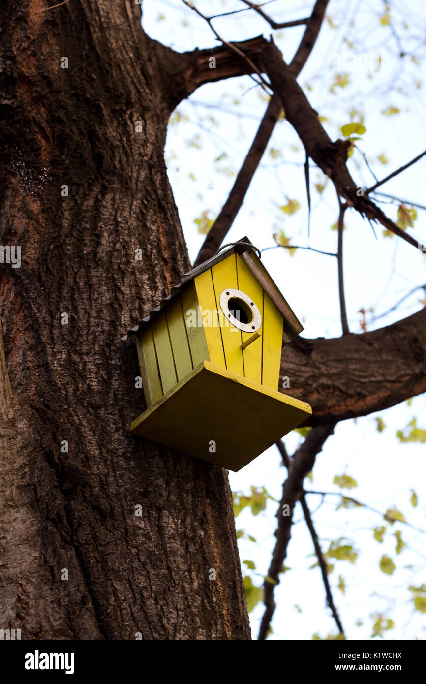 yellow bird house on a tree in the park Stock Photo - Alamy