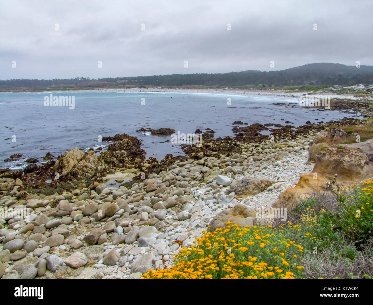 coastal scenery around the Monterey Peninsula in California, USA Stock ...