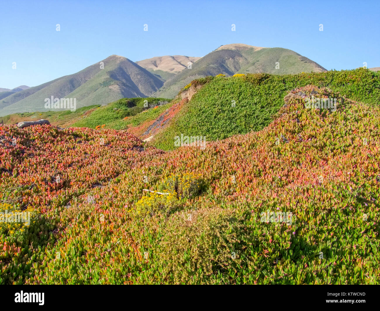 Overgrown rock formation hi-res stock photography and images - Alamy