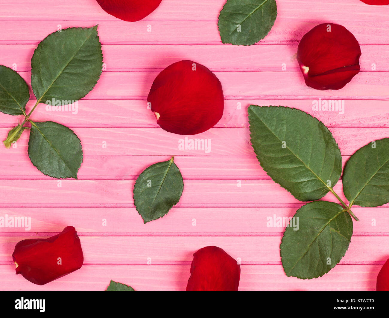 Valentines Day Traditional Romantic Red Roses On A Pink Background ...