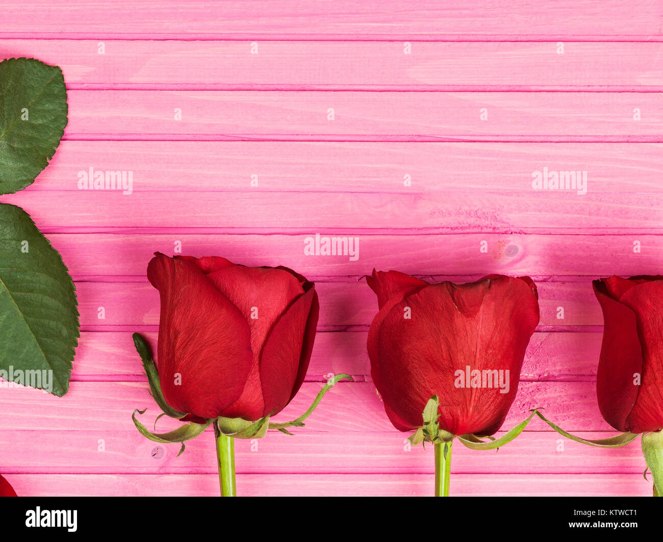 Valentines Day Traditional Romantic Red Roses On A Pink Background ...
