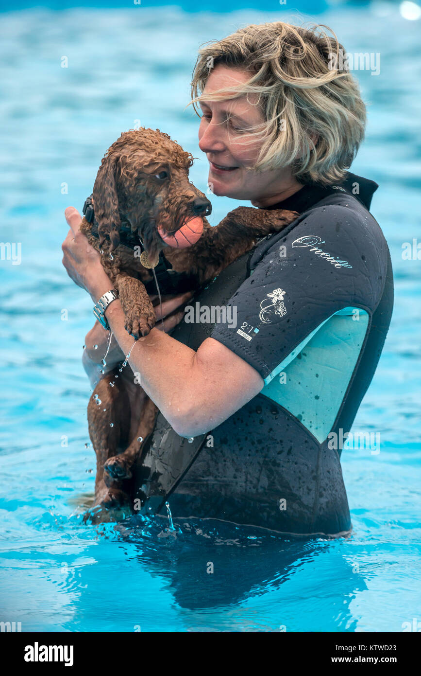Saltdean Lido Dog High Resolution Stock Photography and Images - Alamy