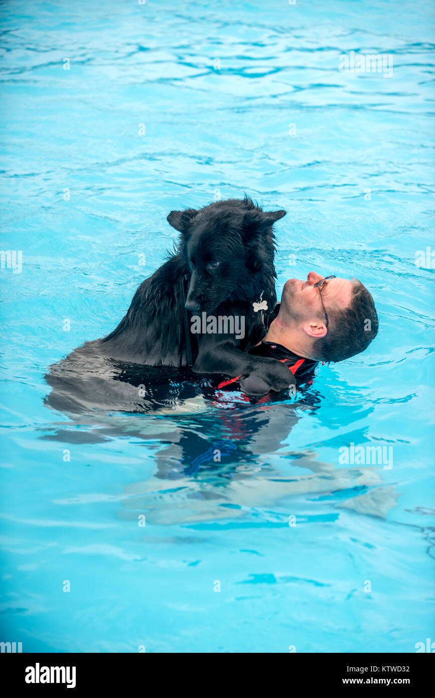 It was 'Swim With Your Dog' day at Saltdean Lido today (Saturday ...