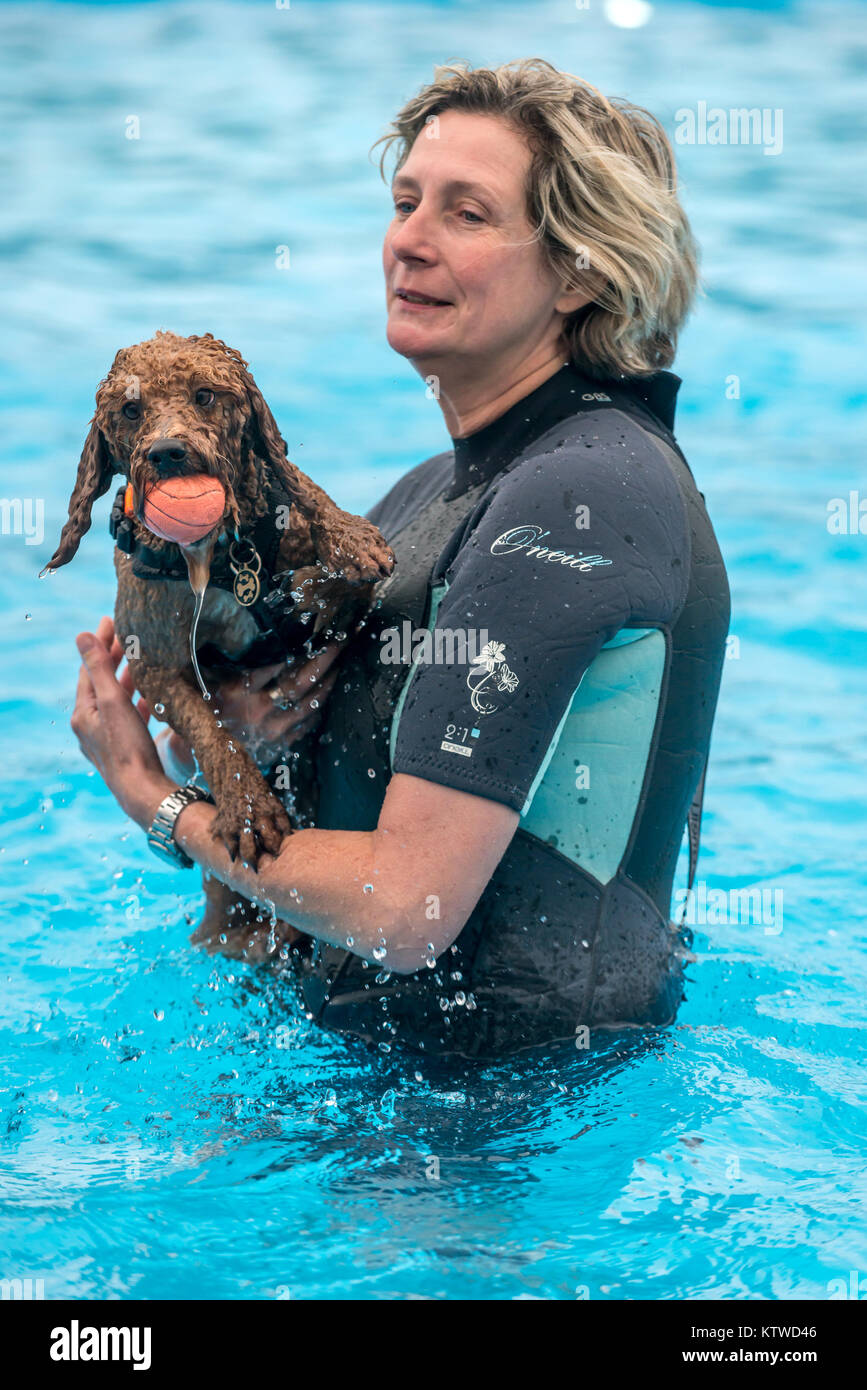 Saltdean Lido Dog High Resolution Stock Photography and Images - Alamy