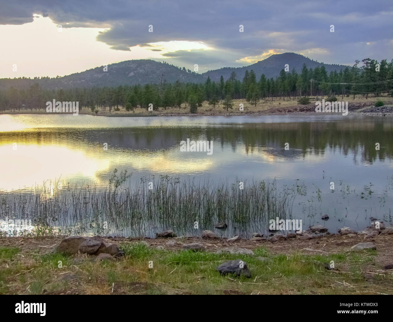 idyllic evening scenery at a lake in Nevada, USA Stock Photo - Alamy