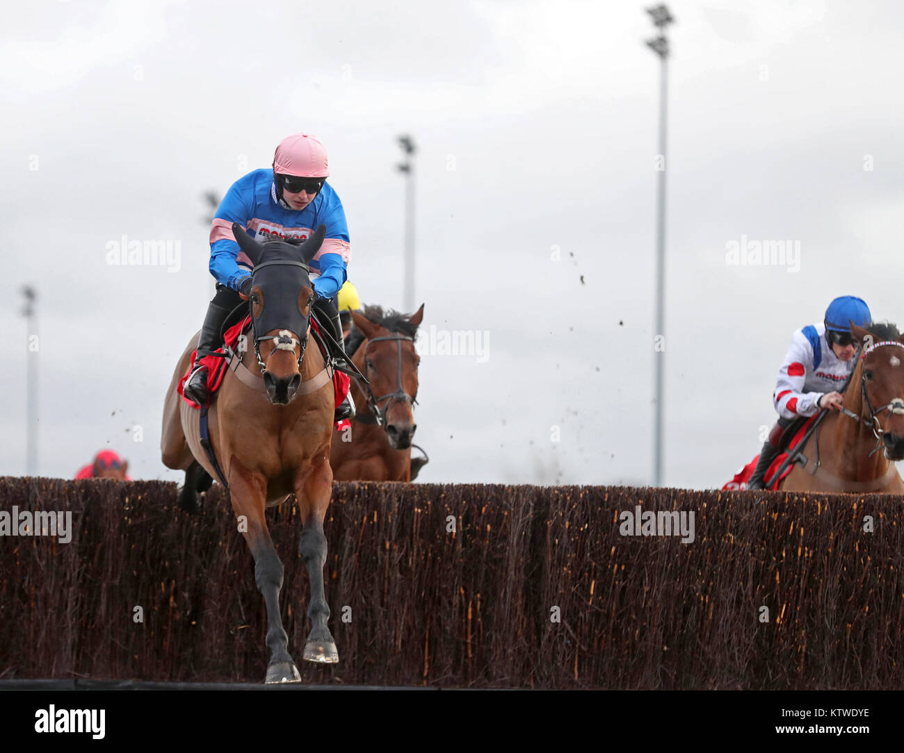 Cyrname horse hi-res stock photography and images - Alamy