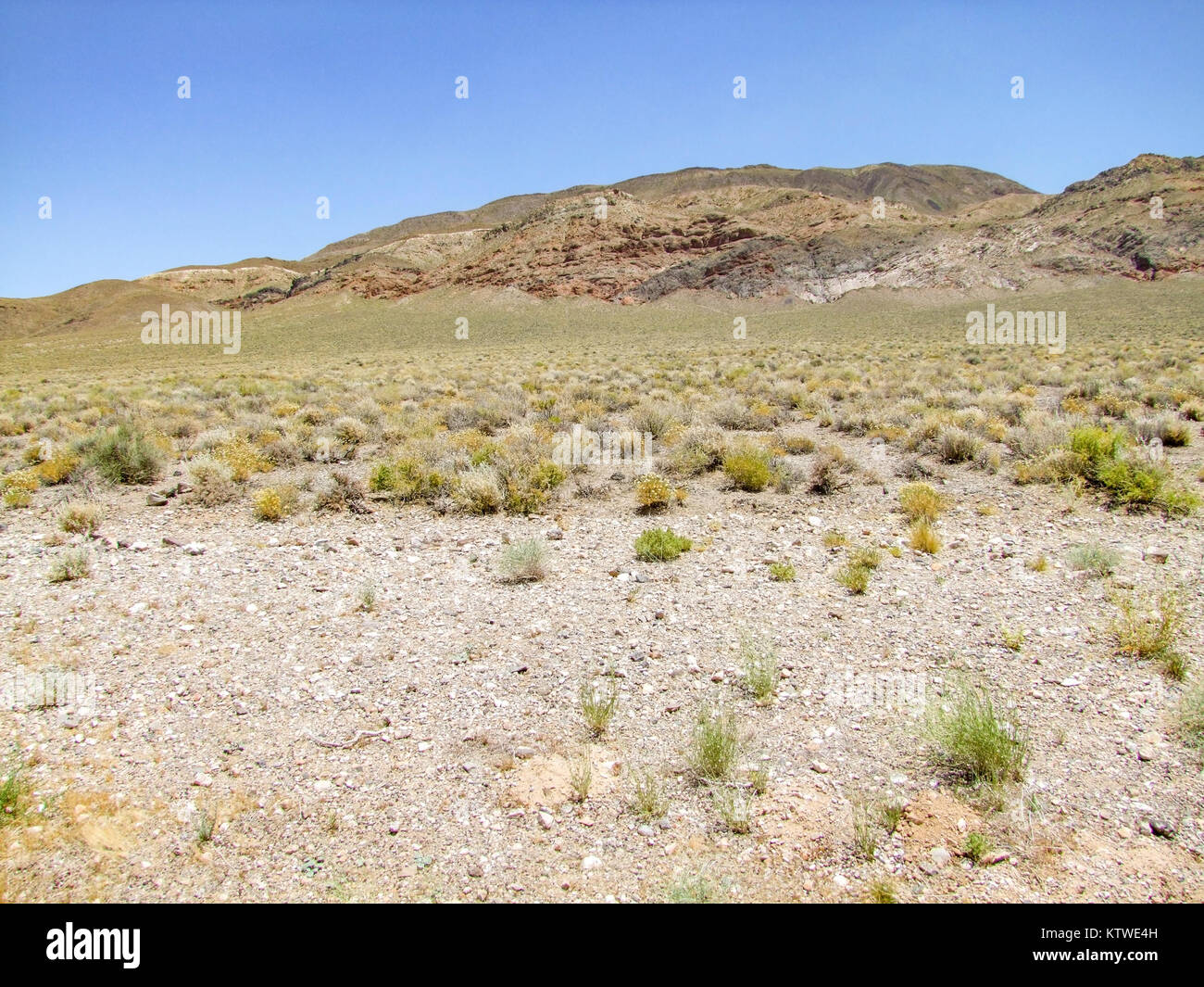 Arid scenery around death hi-res stock photography and images - Alamy