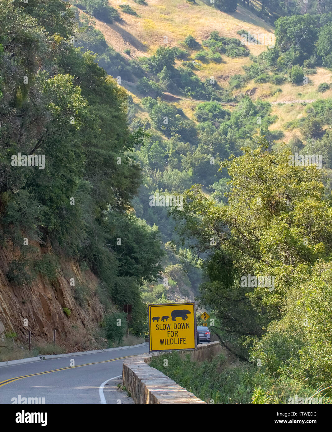 outdoor scenery with street and wildlife roadsign in USA Stock Photo ...