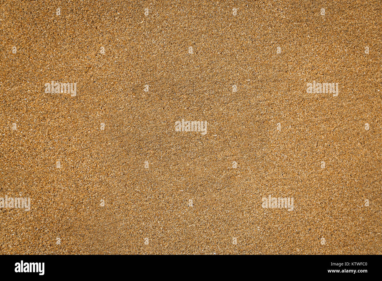 Backdrop publicity hi-res stock photography and images - Alamy