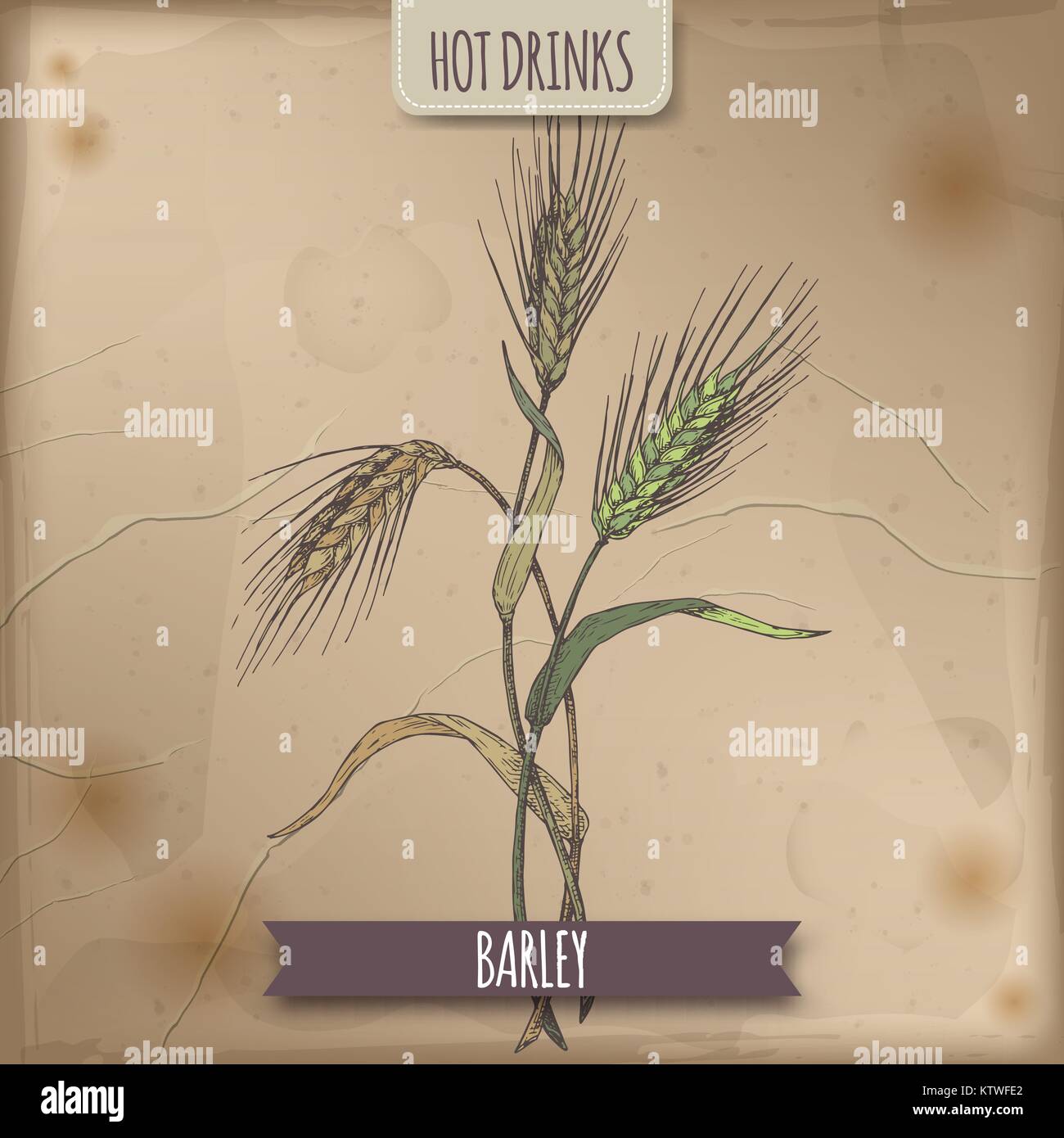 Drinks row Stock Vector Images - Alamy