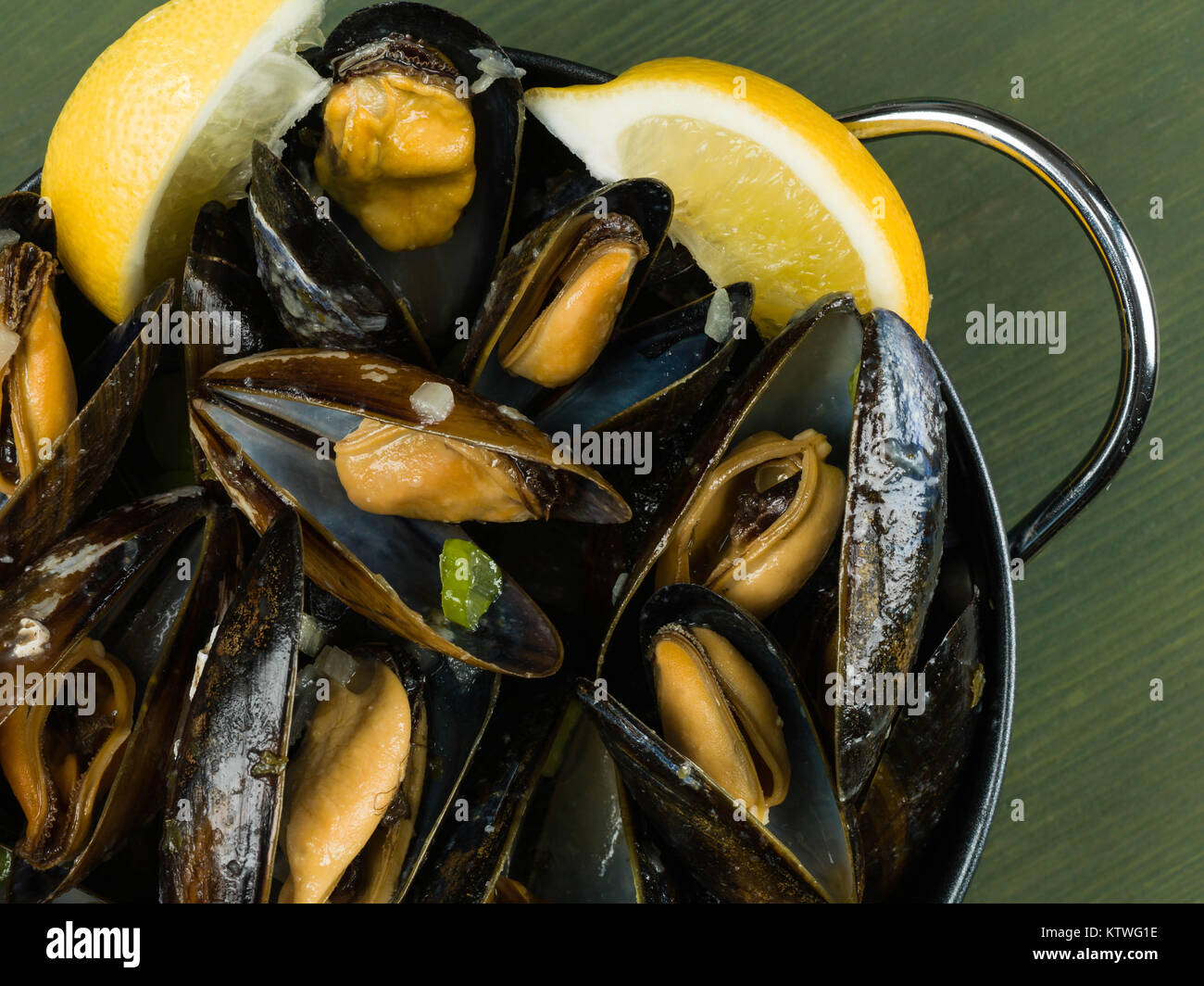 Our rope grown mussels hi-res stock photography and images - Alamy