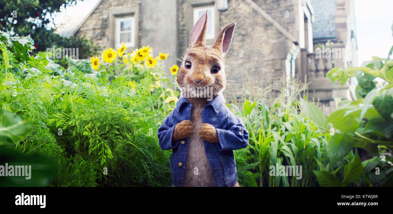 PETER RABBIT, Peter Rabbit (voice: James Corden), 2018. ©Columbia ...