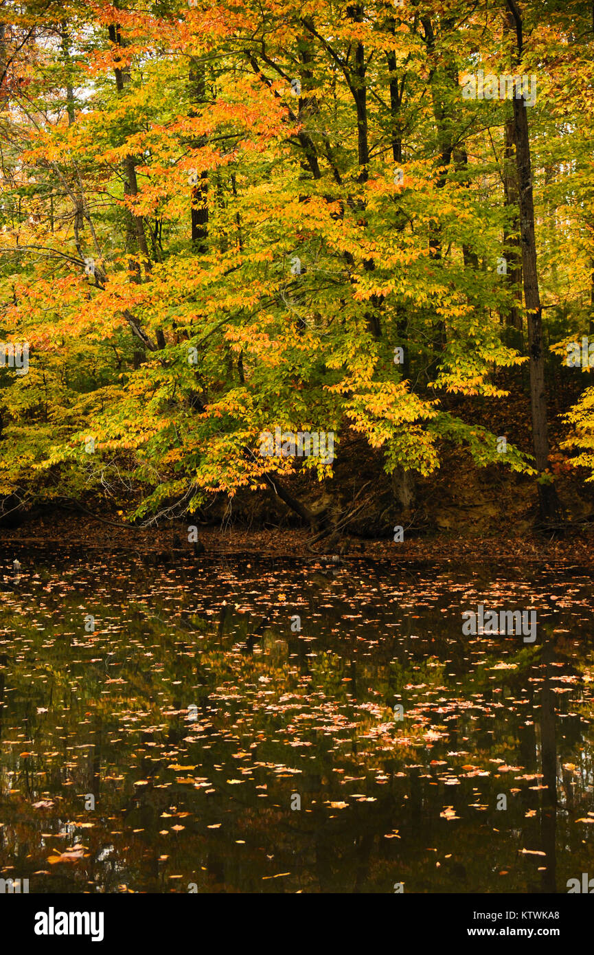 Brown County, Indiana Stock Photo - Alamy