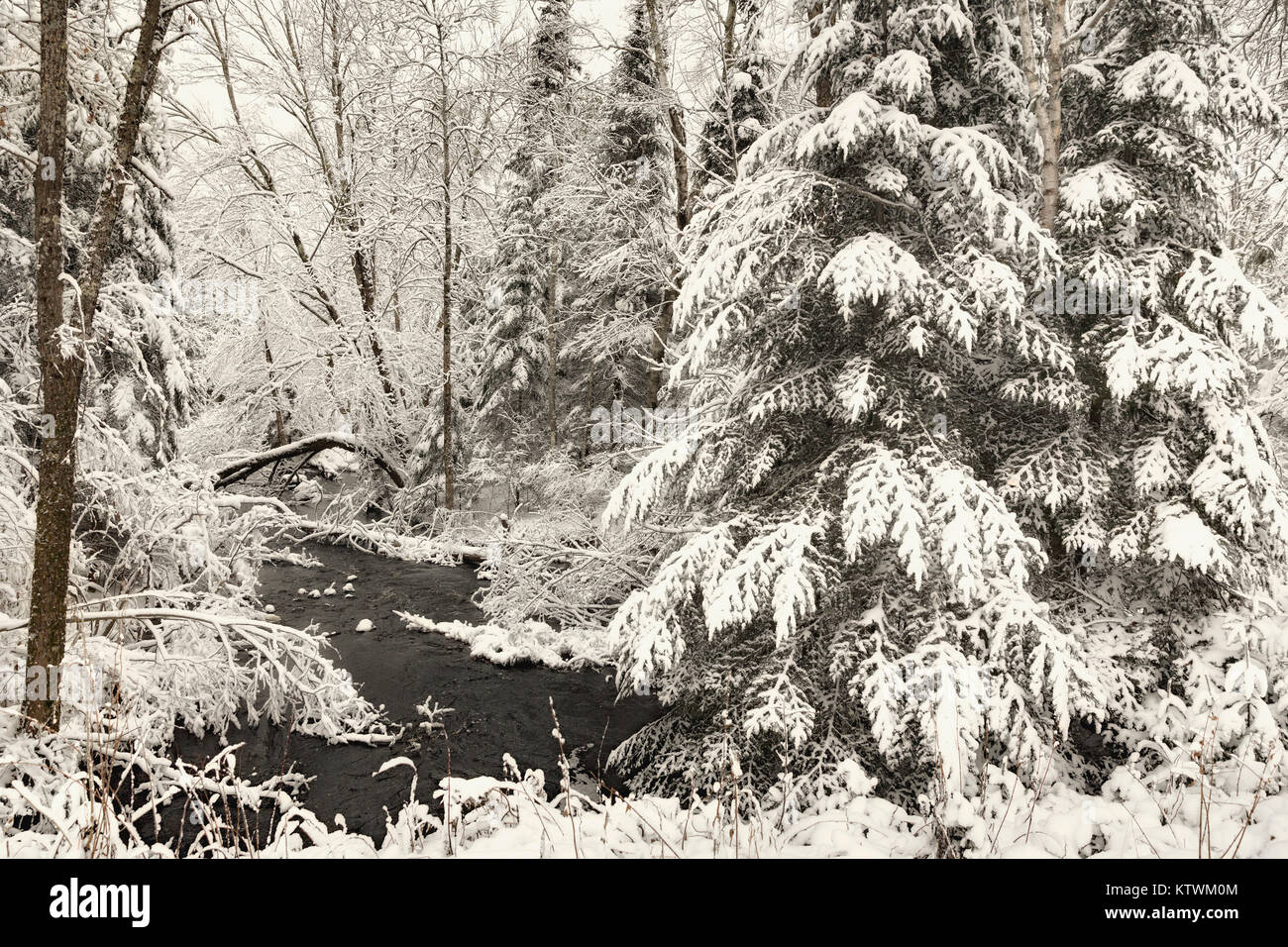 A creek running through a snowy northern Wisconsin woodland Stock Photo ...
