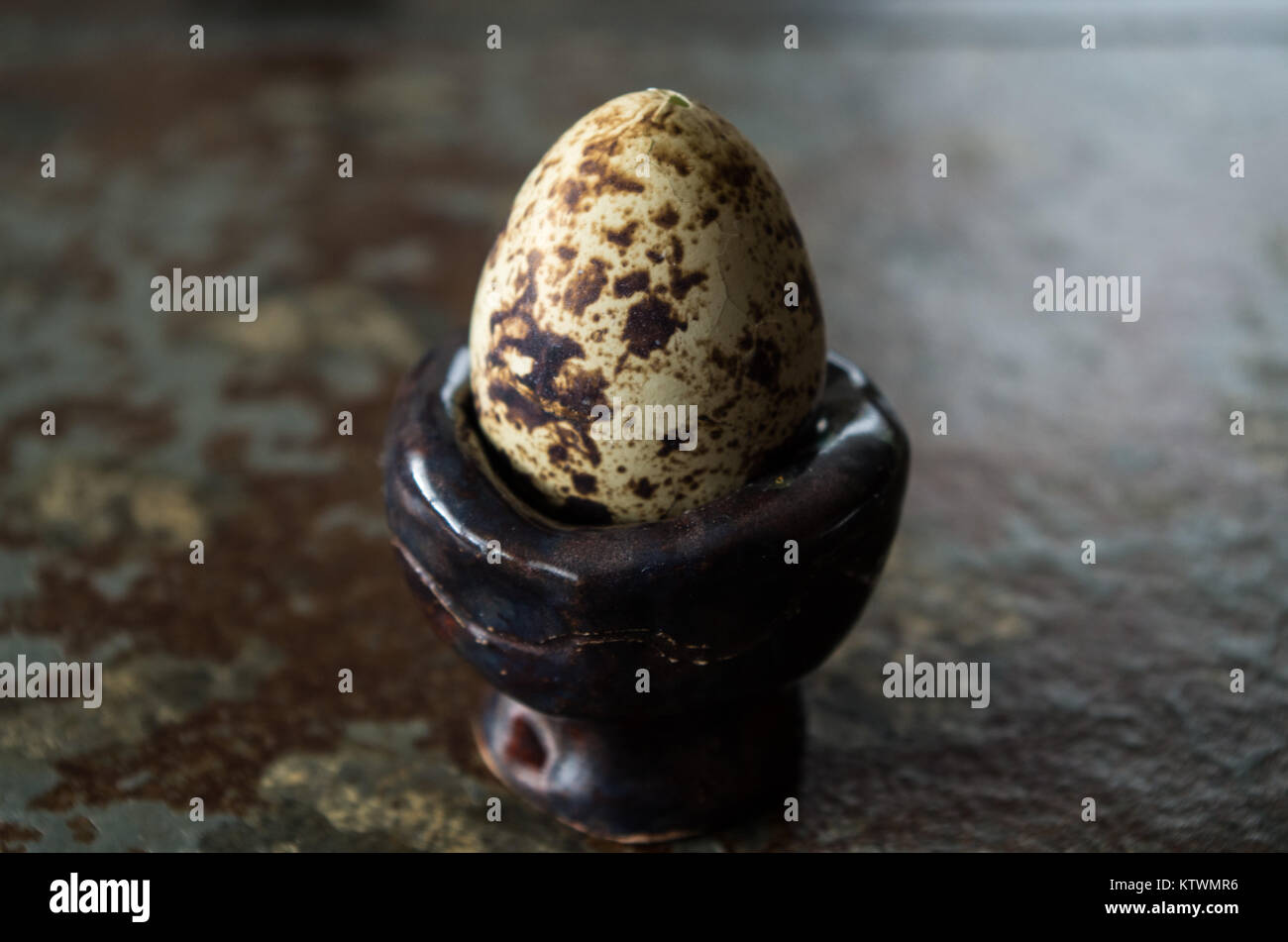 One quail egg centered, close-up Stock Photo - Alamy
