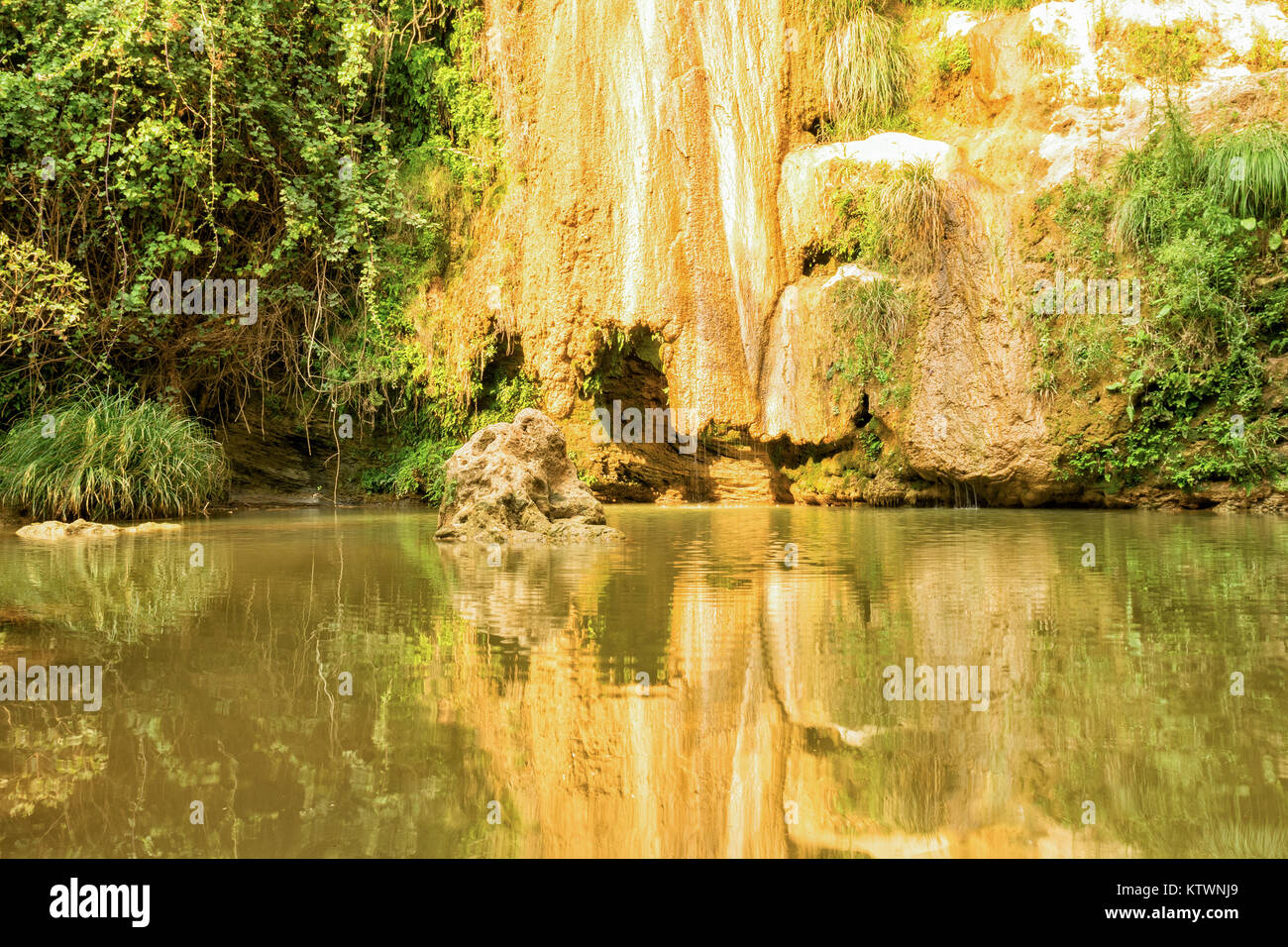 Kalamari hi-res stock photography and images - Alamy