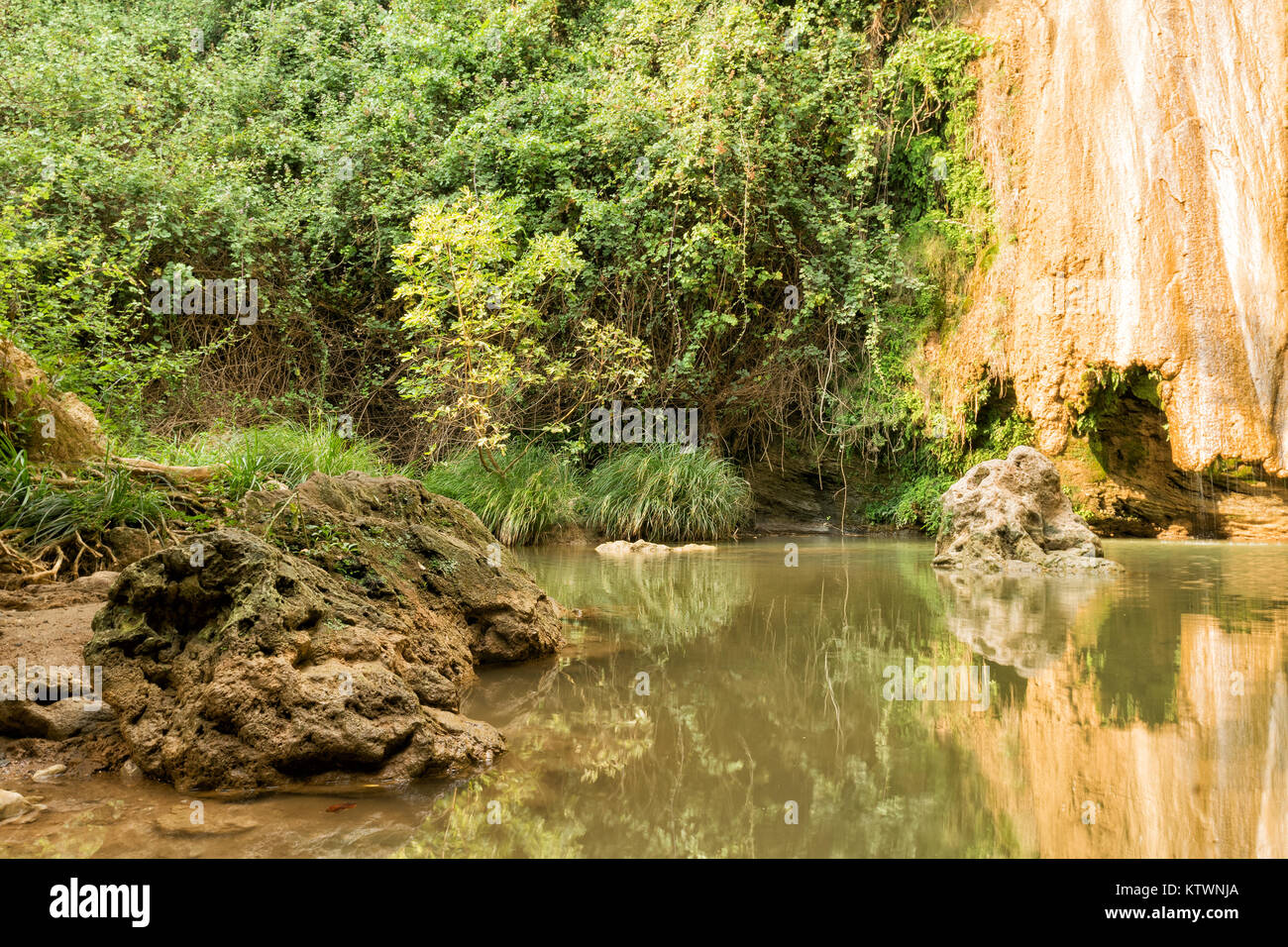 Kalamari hi-res stock photography and images - Alamy