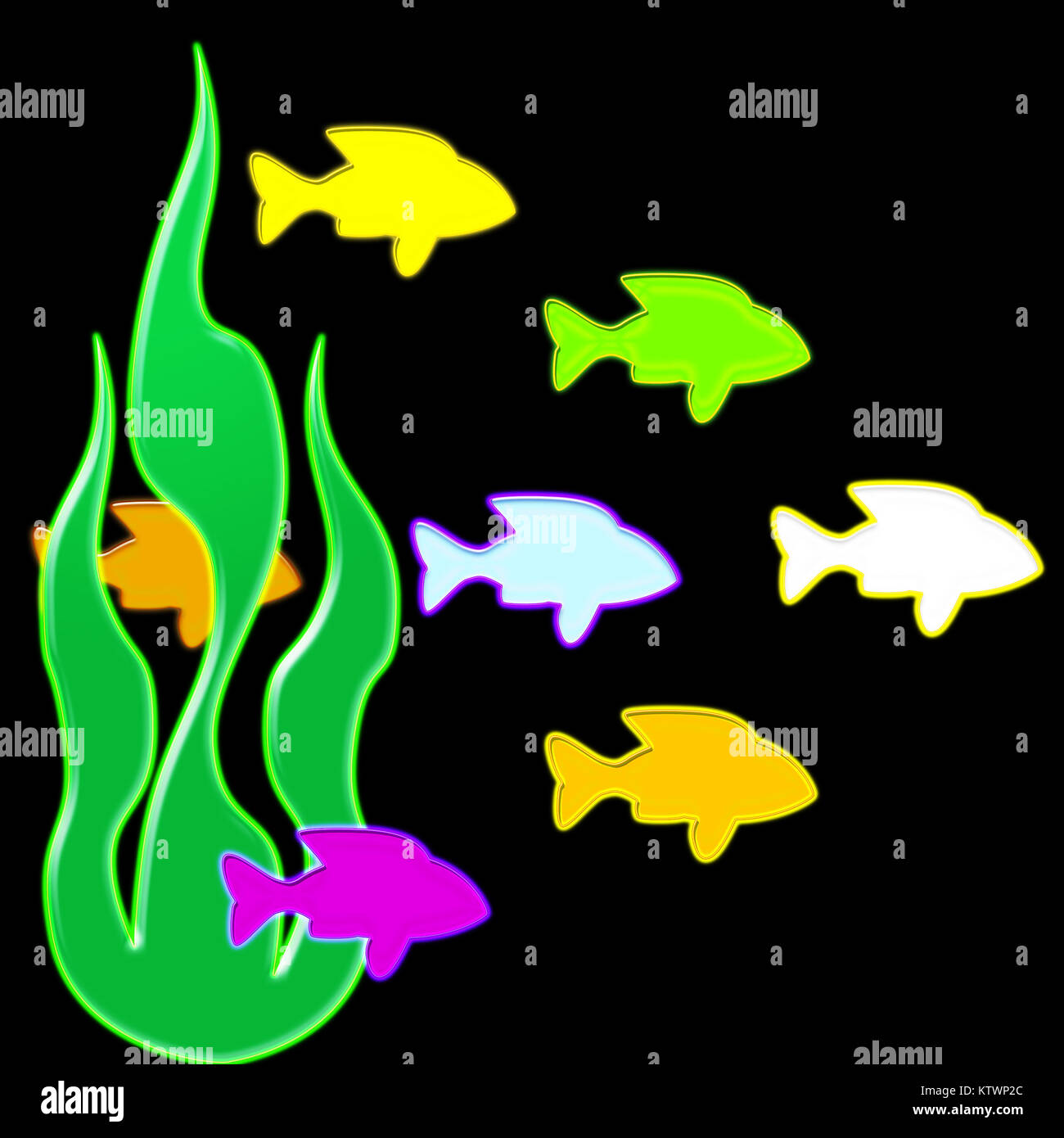 School fishes underwater hi-res stock photography and images - Alamy