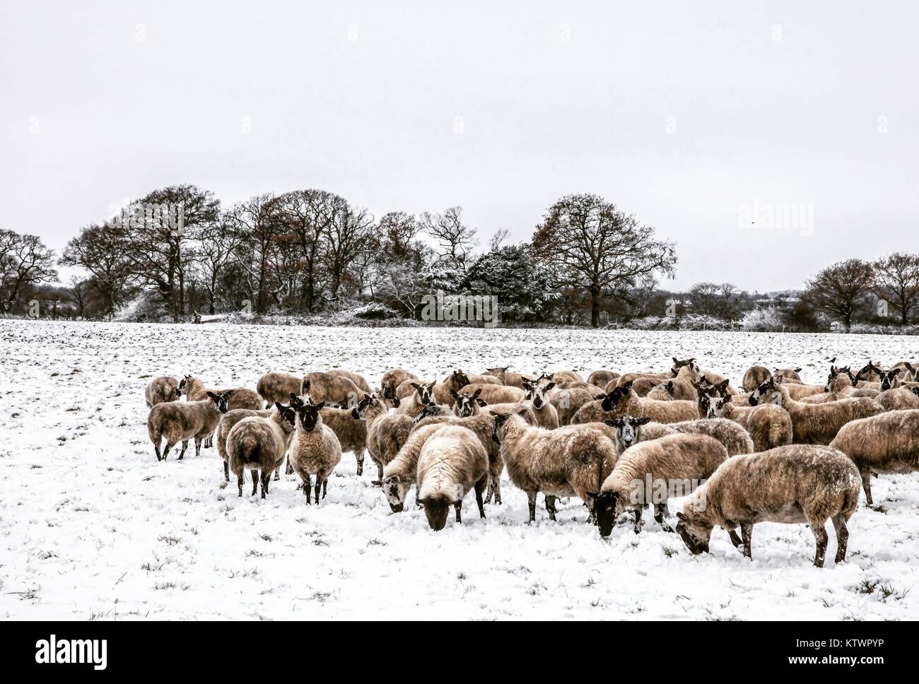 Rural Snow Scenes Stock Photo - Alamy