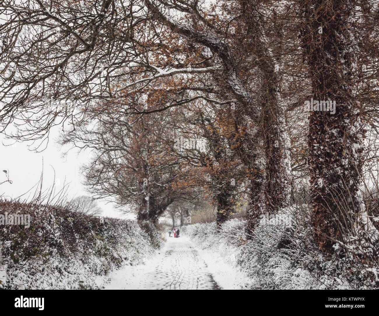 Snow scenes in a typical English Village Stock Photo - Alamy