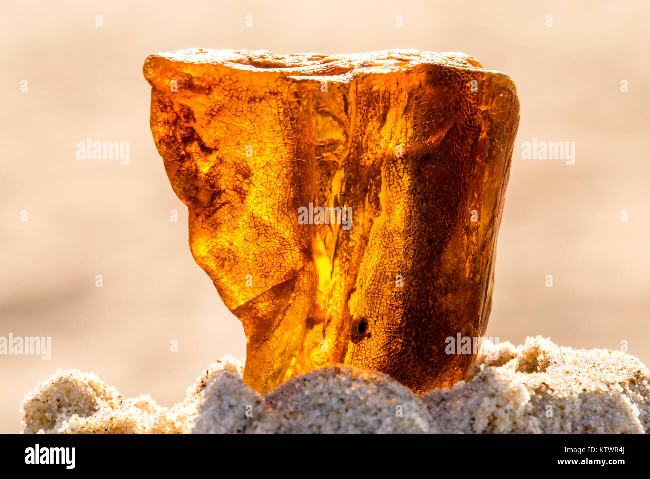 Amber on a beach of the Baltic Sea Stock Photo - Alamy