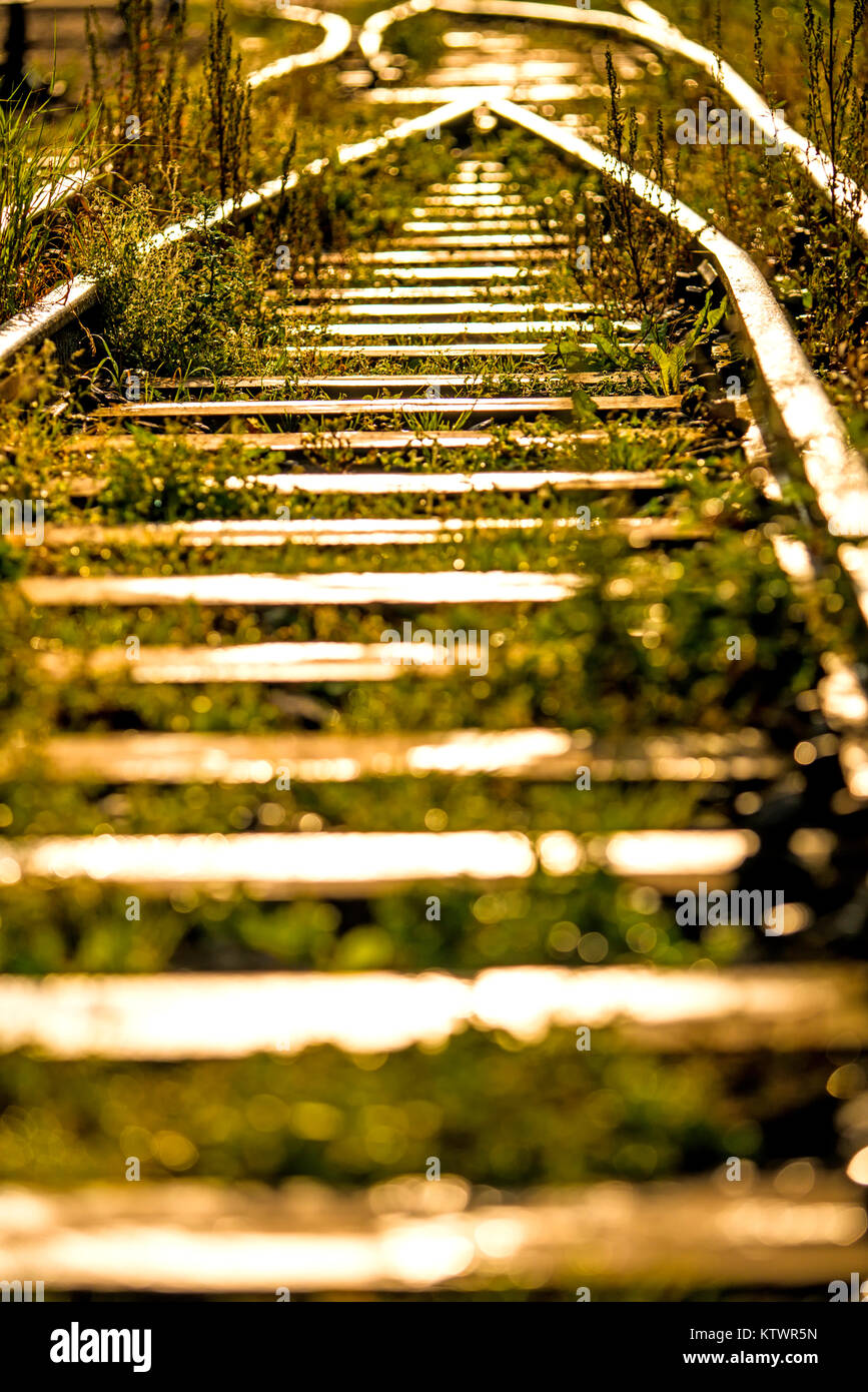 old rails in soft autumnal morning sun Stock Photo - Alamy
